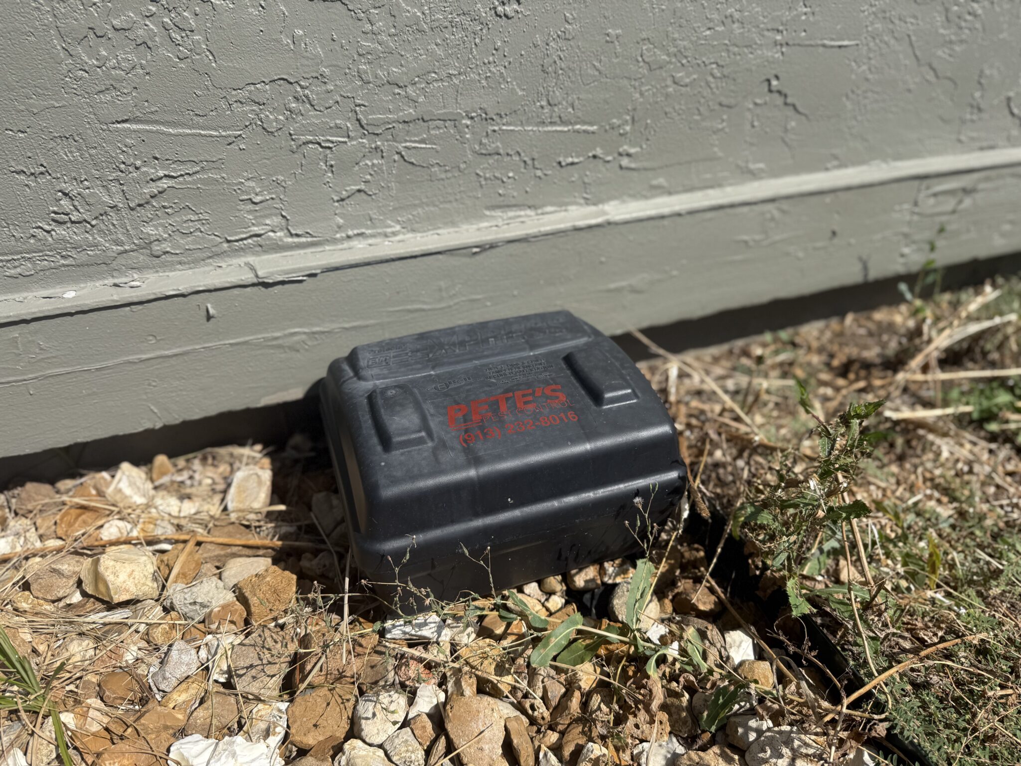 Rodent Control | Pete's Pest Control